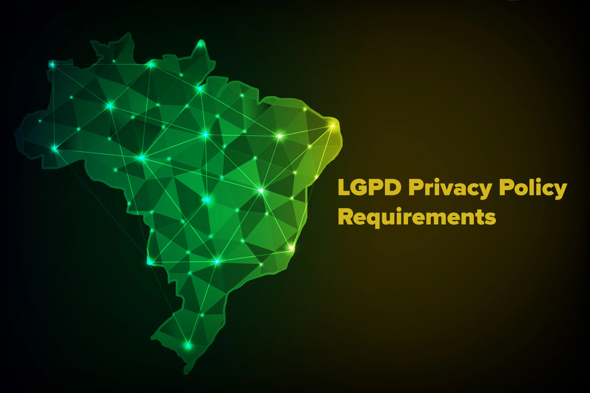 Everything you need to know about LGPD privacy policy requirements