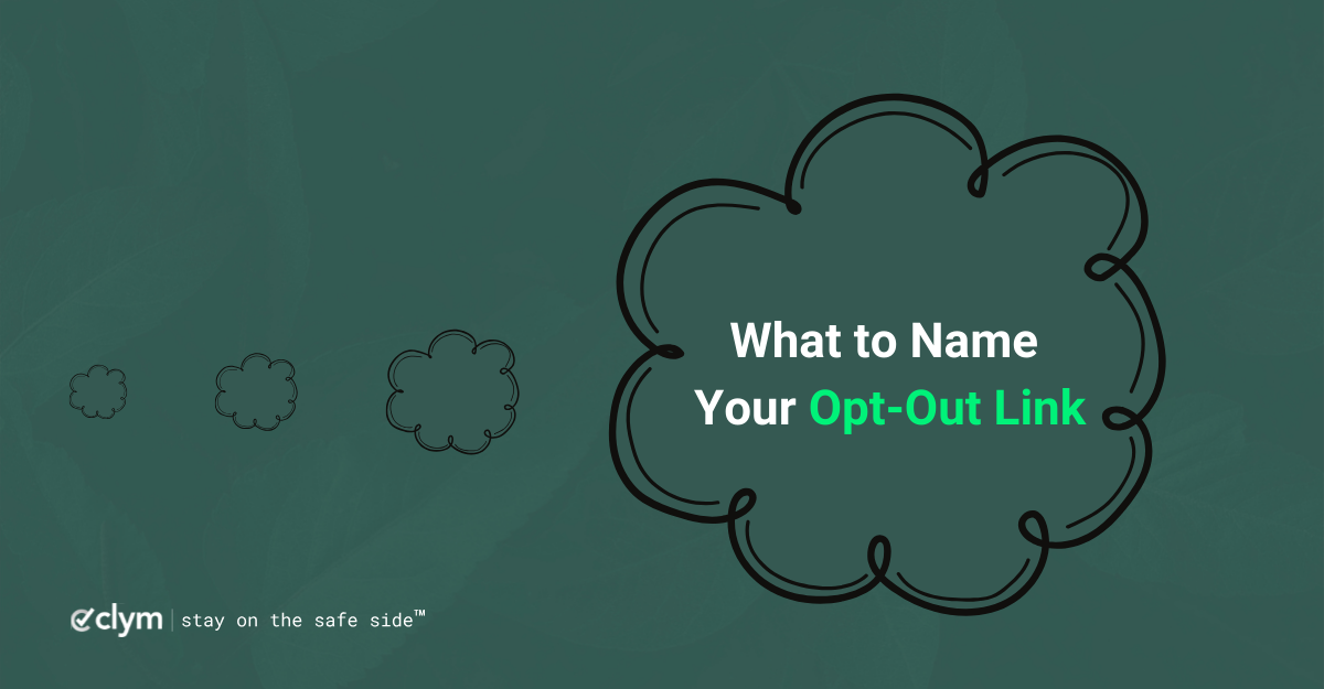 US data privacy guide: what to name your opt-out link